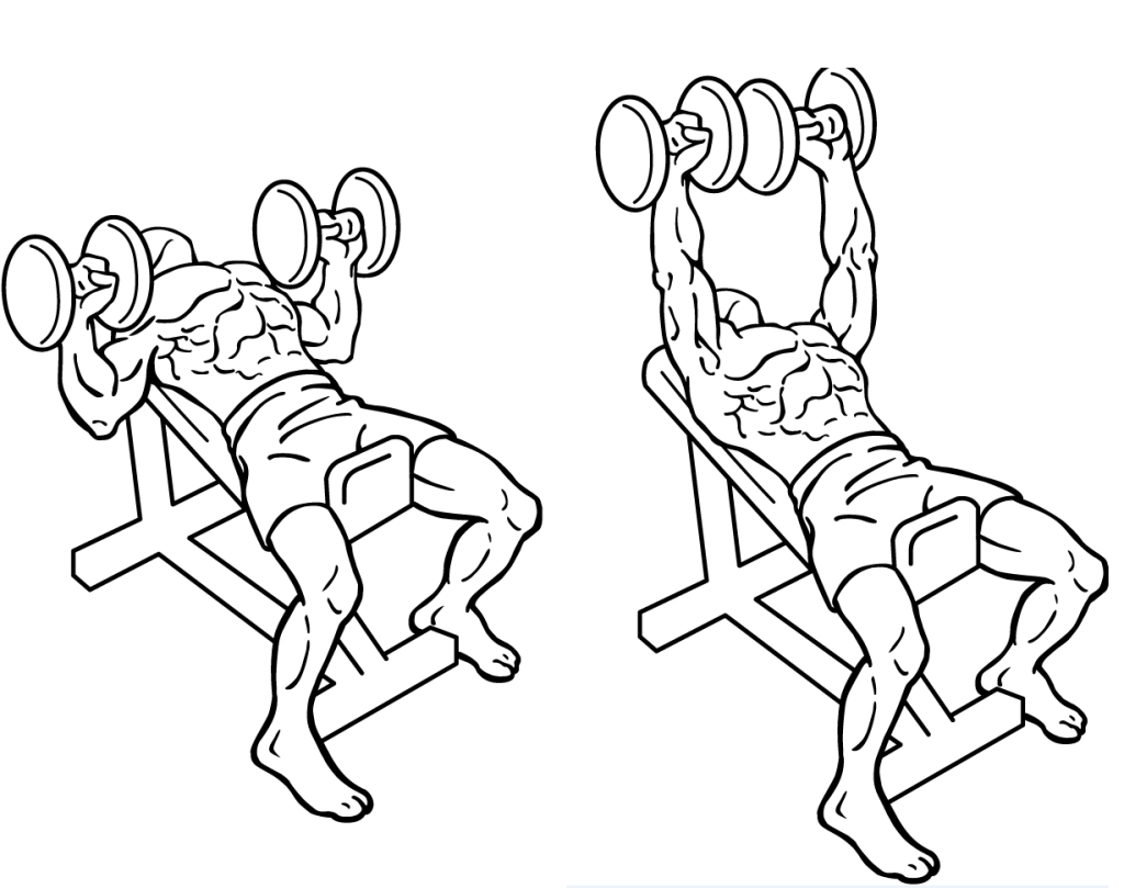 Borstspieren trainen in 5 oefeningen - Efitness